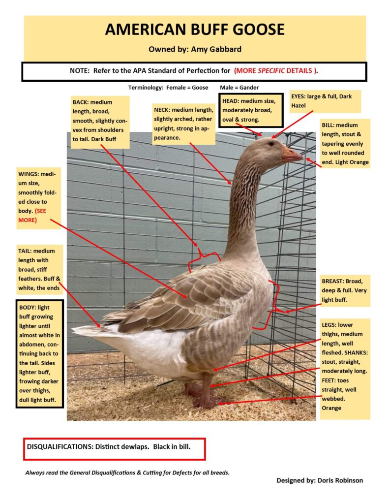 Poultry Show Glossary - Utah Poultry Club